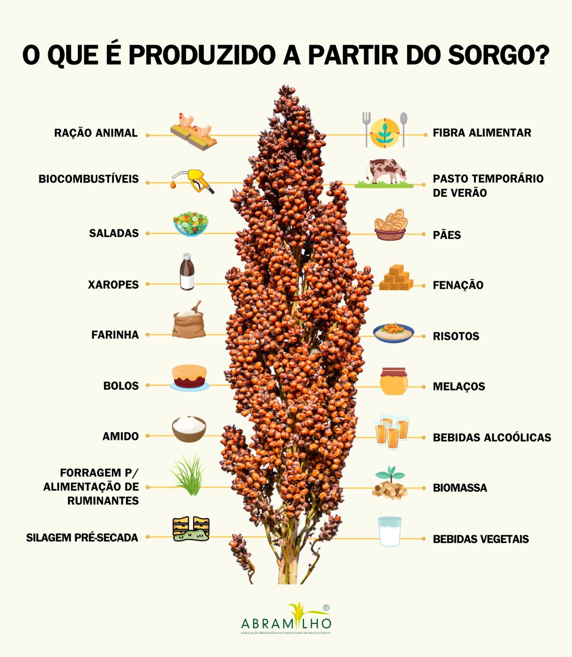 Curiosidades do Sorgo - Abramilho